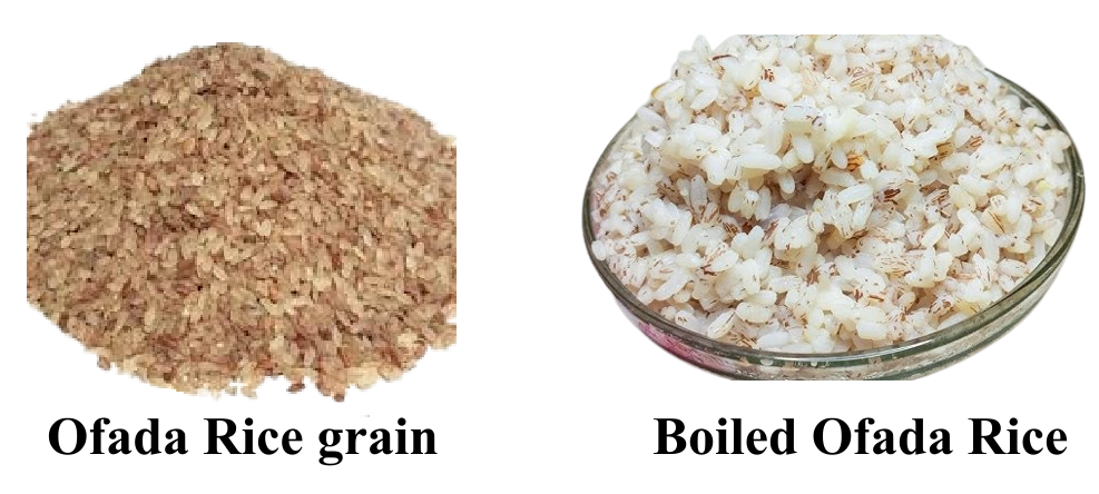 How to Cook Perfect Nigerian Ofada Rice - 9jakitchen-Comfort Through Food